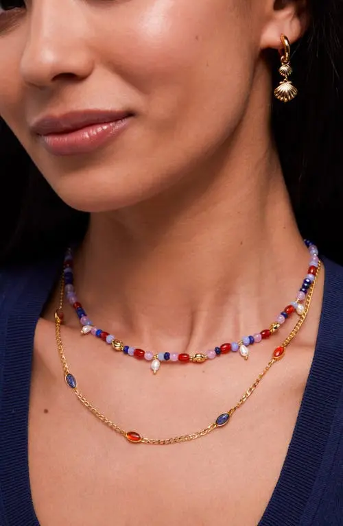 Estée Lauder Multi Bead Sea Shell And Pearl Necklace