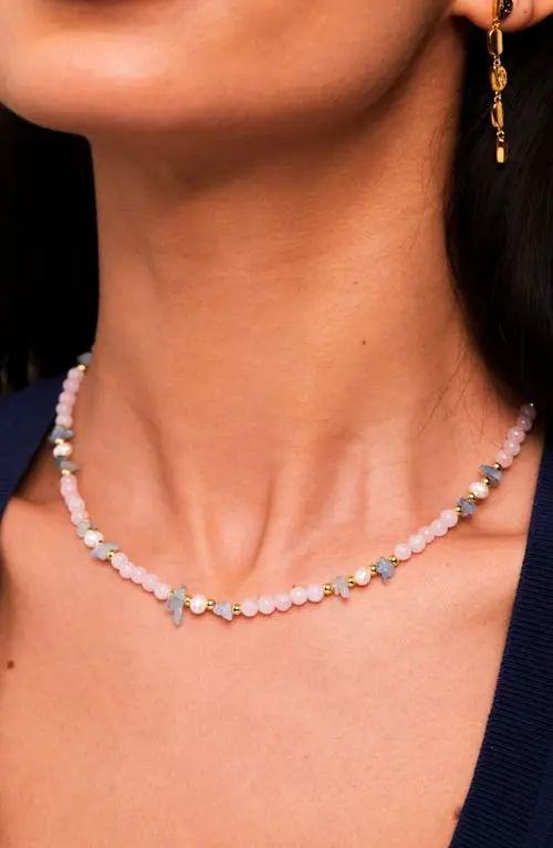 Estée Lauder Beaded Stone Necklace - Multi