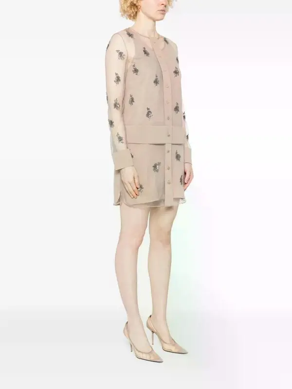 Fendi Embroidered Tulle Mini Dress
