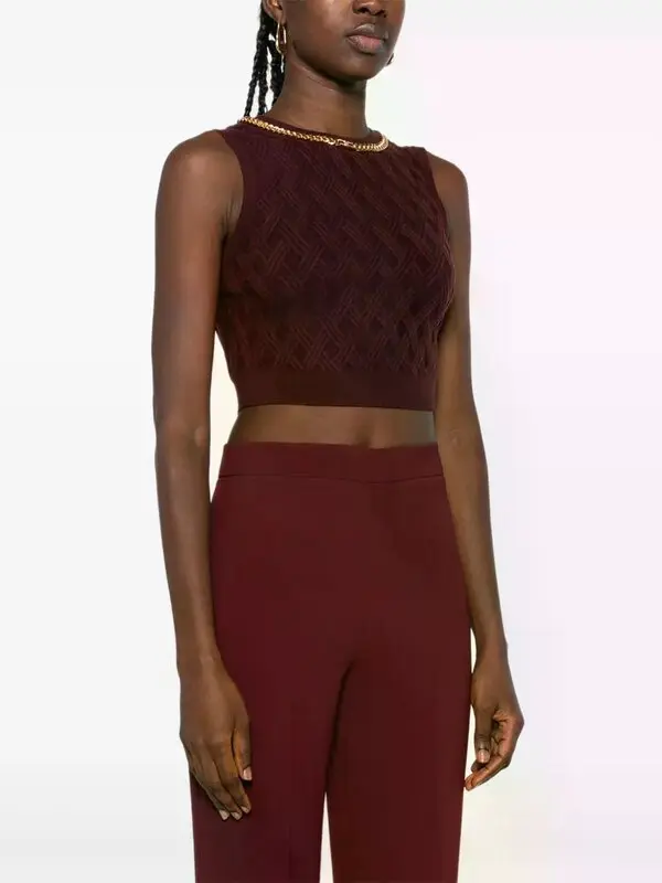 Elisabetta Franchi Chain-embellished Diamond-pattern Crop Top - Red