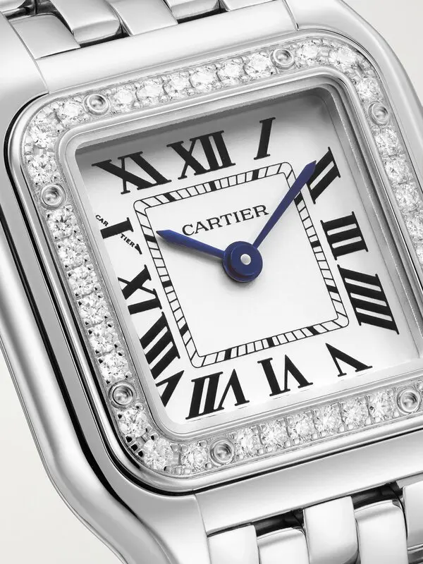 Cartier Panthère De Stainless Steel Diamond Watch - Gray