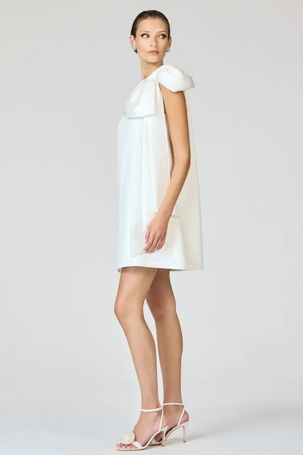 Sachin & Babi Harmony Mini Dress