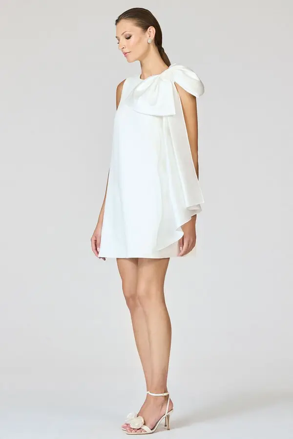 Sachin & Babi Harmony Mini Dress