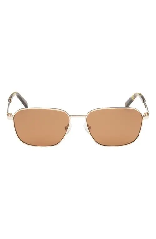Abercrombie 56mm Round Sunglasses - Gold/brown Lens