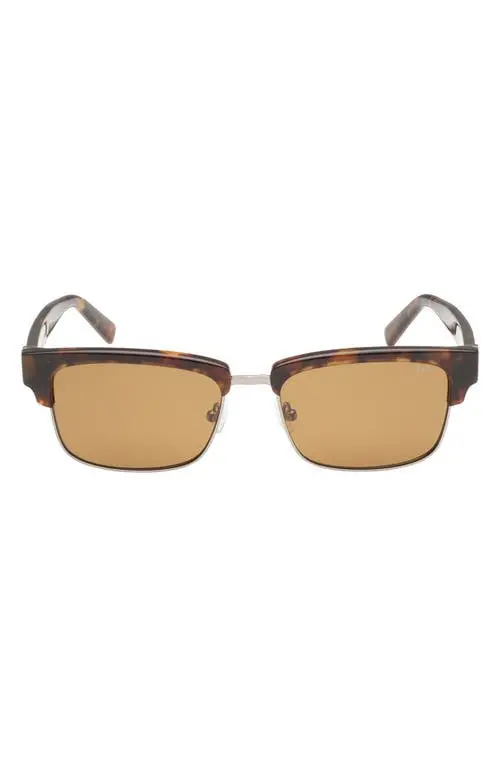 Abercrombie 55mm Square Sunglasses - Dark Havana/brown Lens
