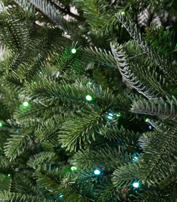 BALSAM HILL Bh Nordmann Fir Twinkly Tree