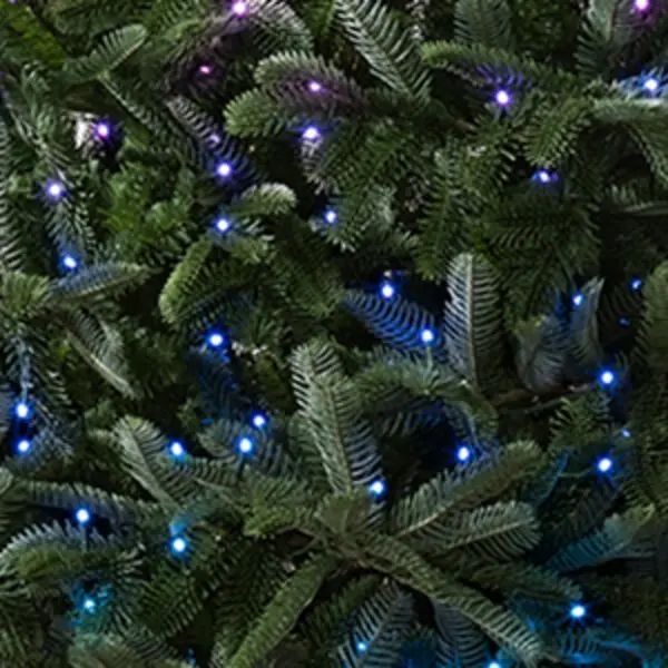 BALSAM HILL Bh Nordmann Fir Twinkly Tree