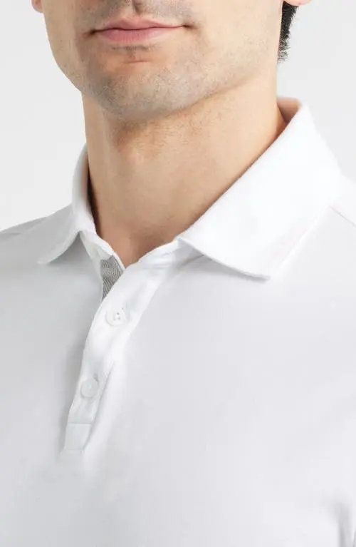 Robert Barakett Georgia Solid Pima Cotton Polo - White