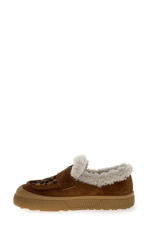 VOILE BLANCHE Pan Genuine Shearling Loafer