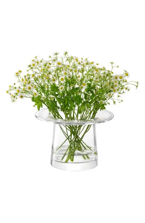 LSA Victoria Glass Lantern/vase