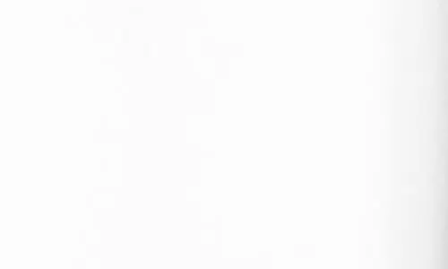 LSA Otis Set Of 2 White Wine Glasses