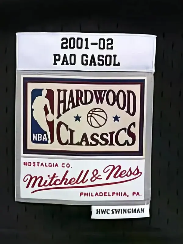 Mitchell & Ness Memphis Gasol Jersey