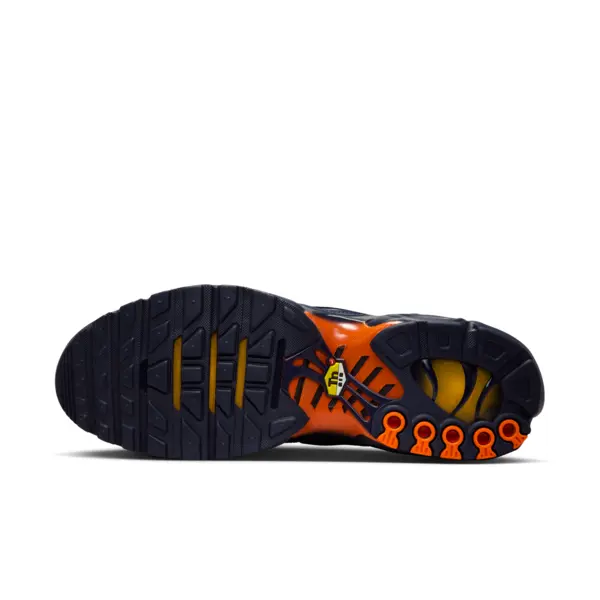 Nike Air Max Plus Sneakers