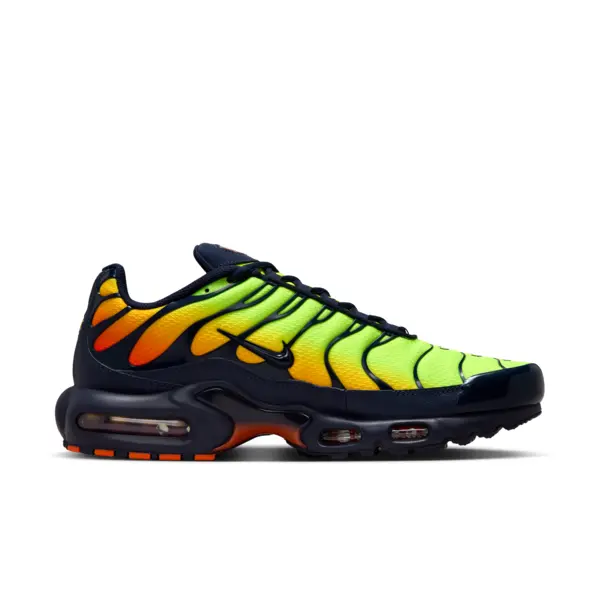 Nike Air Max Plus Sneakers