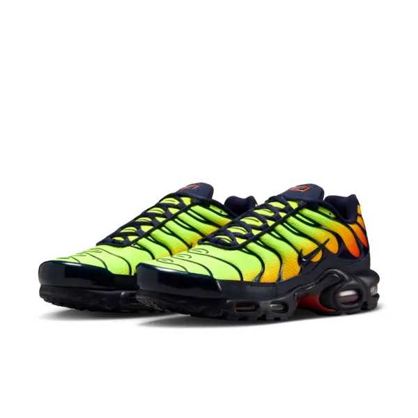 Nike Air Max Plus Sneakers