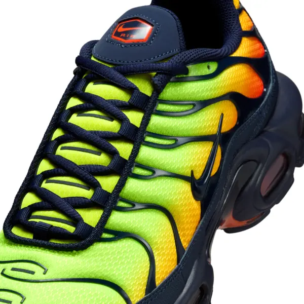 Nike Air Max Plus Sneakers