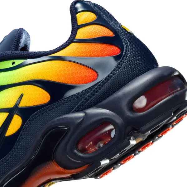 Nike Air Max Plus Sneakers