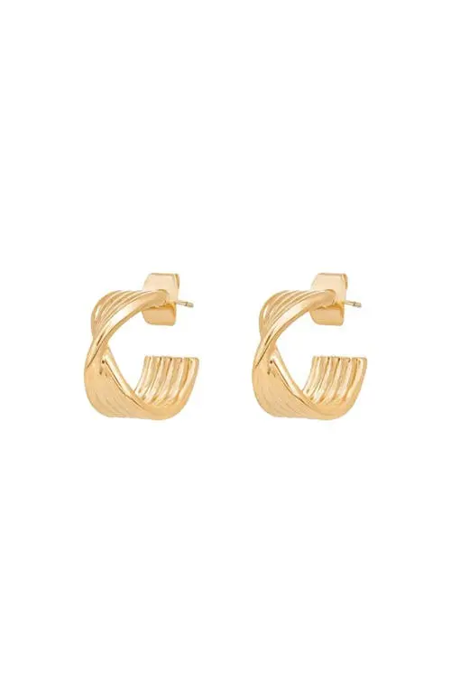 BEARFRUIT JEWELRY 14k Plated Maeve Huggie Hoop Earrings - Gold