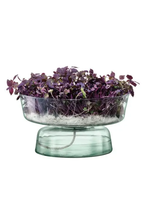 LSA Canopy Self Watering Glass Planter