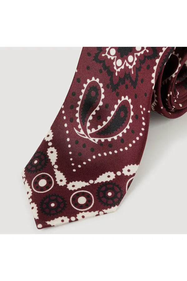 Sandro Silk Paisley Print Neck Tie