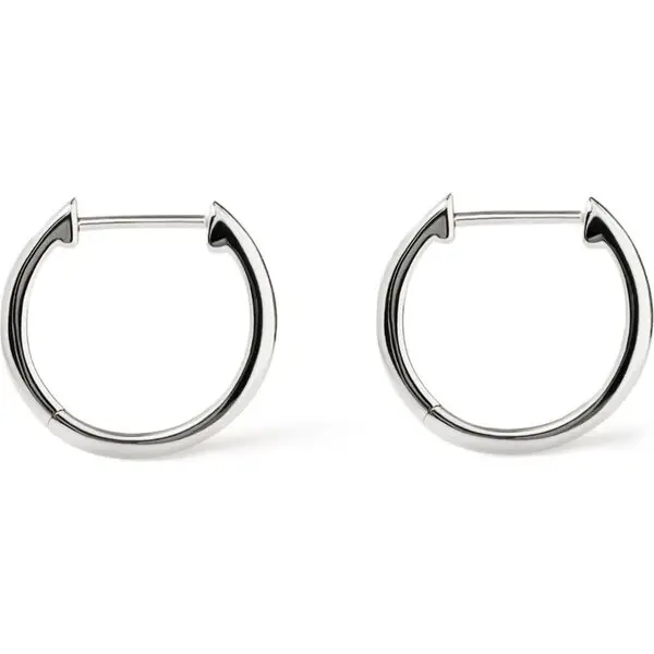 ANA LUISA Small Hoop Earrings - Silver