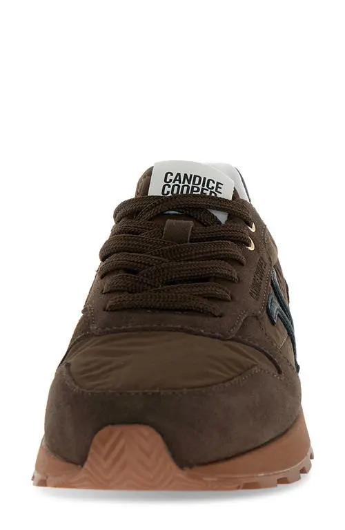 CANDICE COOPER Plume 5 Sneaker - Dark Brown