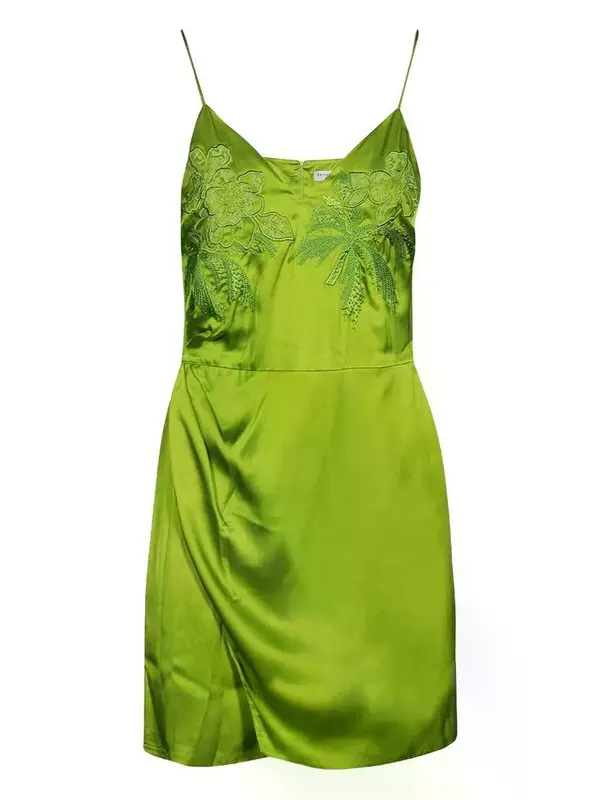 Ermanno Scervino Embroidered Slip Mini Dress