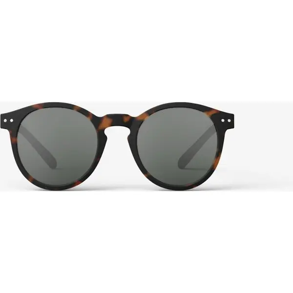 IZIPIZI M 52mm Pantos Sunglasses - Tortoise