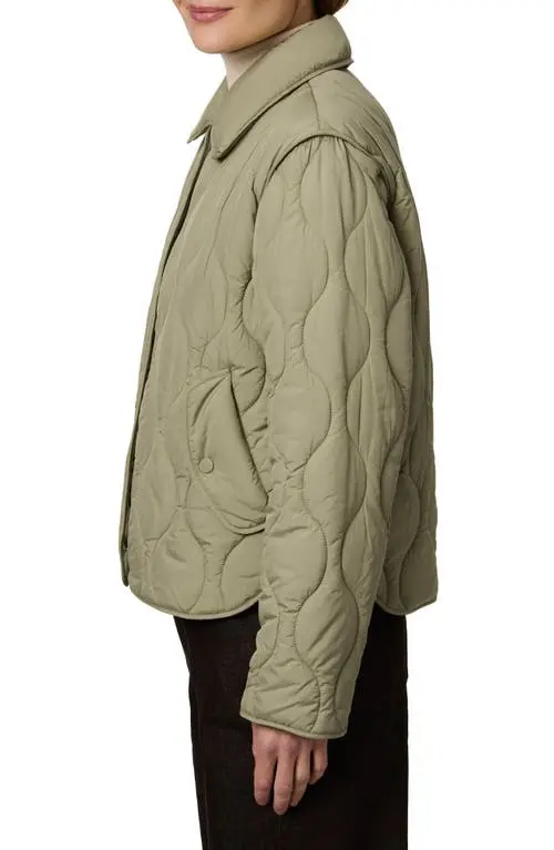Bernardo Quilted Shirttail Hem Jacket - Sage