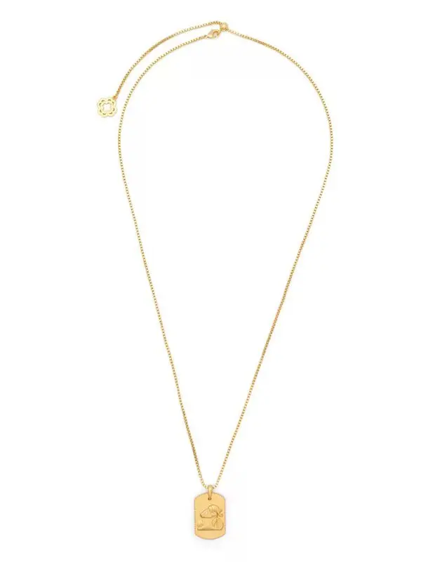 Maje Capricorn Zodiac Pendant Necklace With Rhinestones - Gold