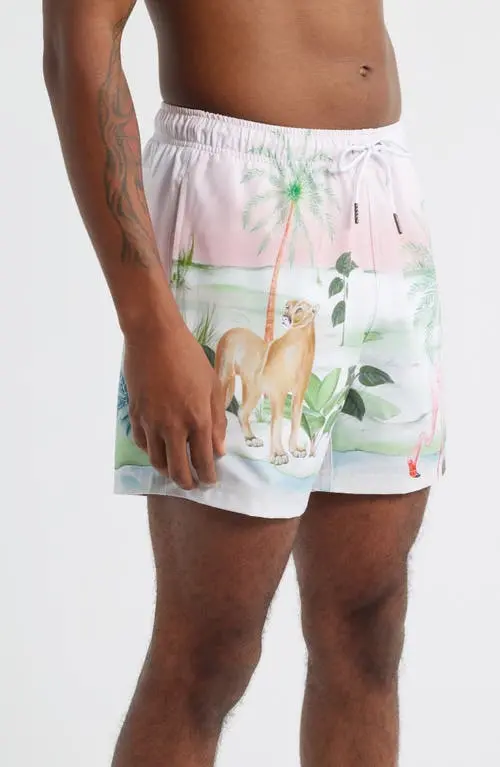MAVRANS Palm Beach Printed Swim Shorts