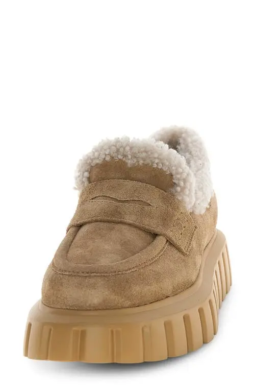 VOILE BLANCHE Grenelle Genuine Shearling Platform Loafer - Brown