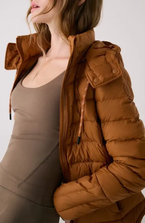 LOLE Emeline Water Repellent 550 Fill Power Down Jacket
