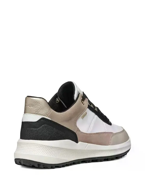 Geox Leather Panelled Sneakers