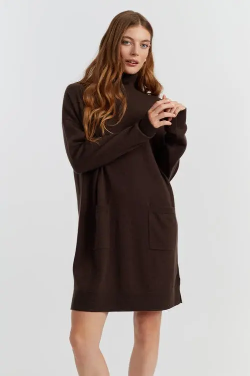 Chinti & Parker Rollneck Wool-cashmere Mini Dress - Chocolate