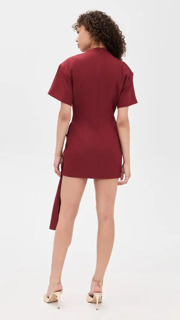 Lioness Martini Mini Dress - Merlot