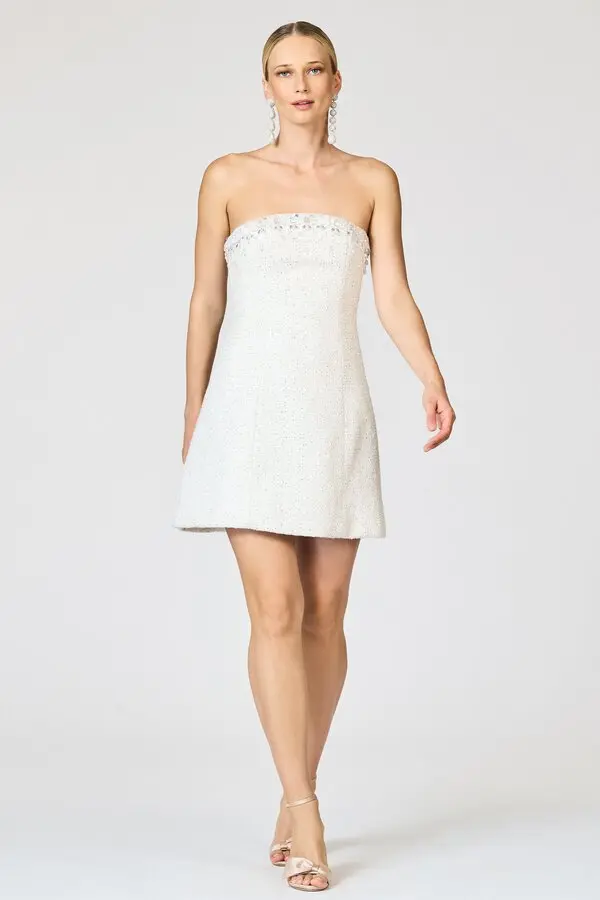 Sachin & Babi Daphne Strapless Mini Dress