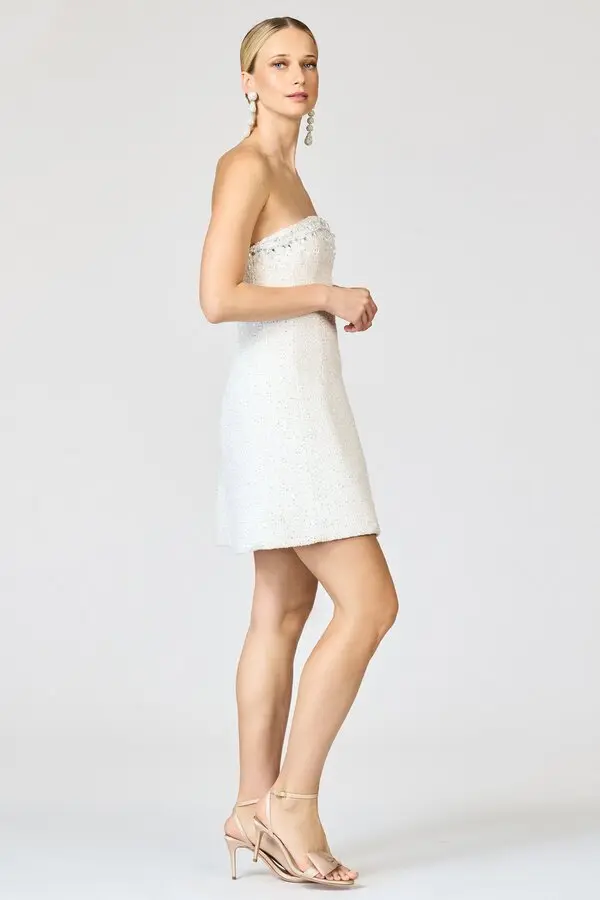 Sachin & Babi Daphne Strapless Mini Dress