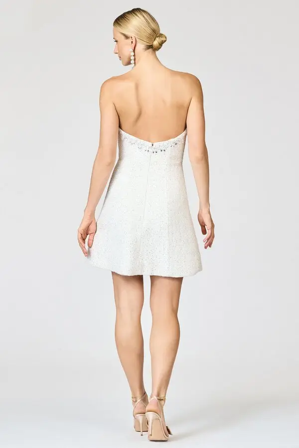Sachin & Babi Daphne Strapless Mini Dress