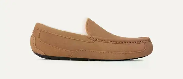 UGG Ascot Slipper - Chestnut