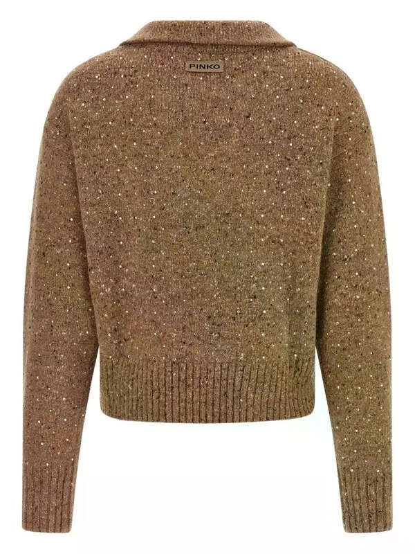 Pinko Nibani Rhinestone-embellished Sweater - Brown
