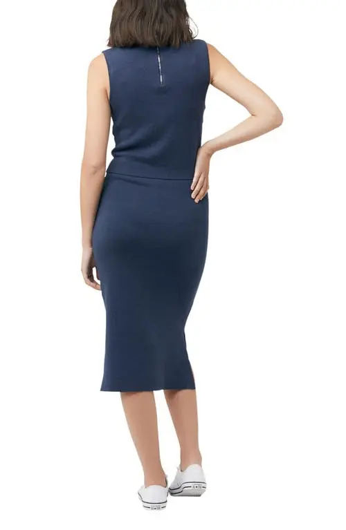 RIPE MATERNITY Sleeveless Mock Neck Layered Nursing Dress - Ink