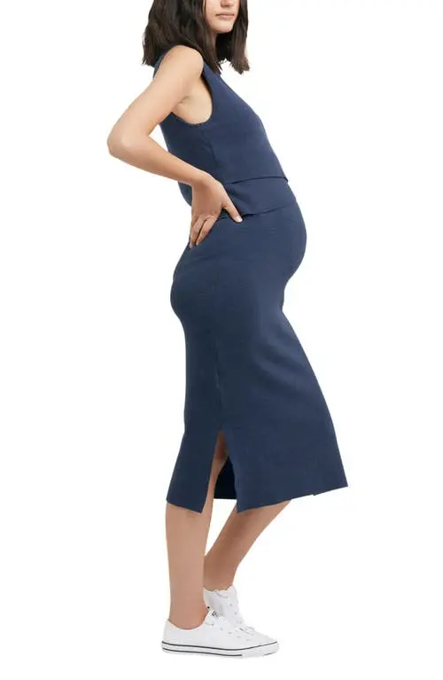 RIPE MATERNITY Sleeveless Mock Neck Layered Nursing Dress - Ink