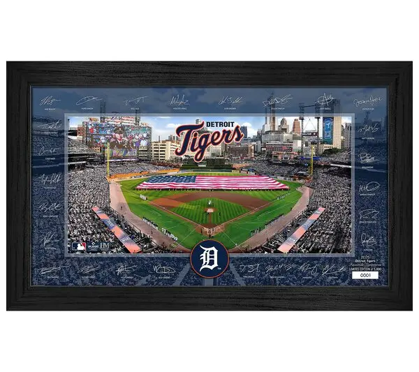 HIGHLAND MINT Detroit Tigers 2025 Signature Fie Ld Frame - One-color