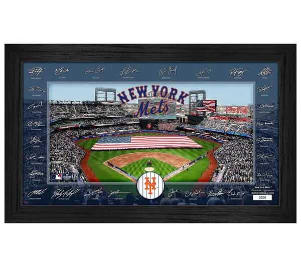 HIGHLAND MINT New York Mets 2025 Signature Fiel D Frame - One-color