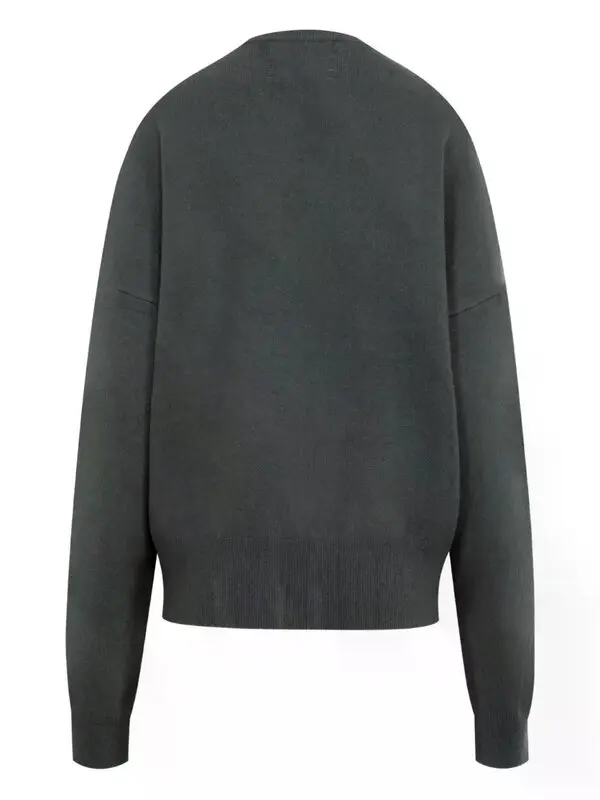 Extreme Cashmere Tes Crew-neck Sweater