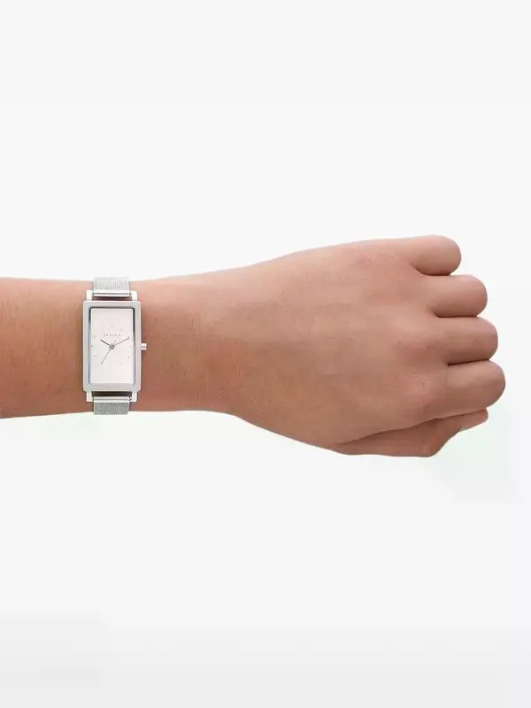 Skagen Hagen Lille 43 X 22mm - Silver