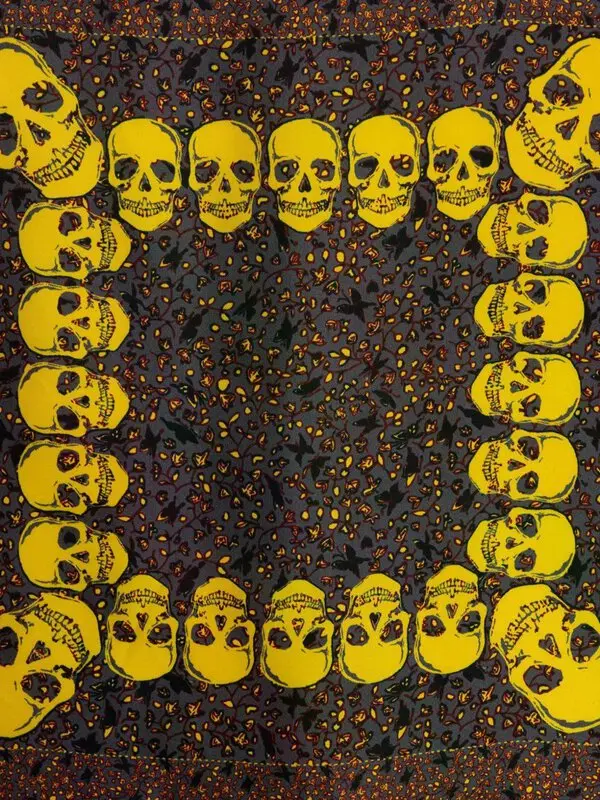 Zadig&Voltaire Skull-print Scarf - Brown
