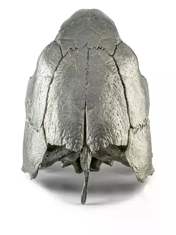 PARTS OF FOUR Turtle-skull Sculpture