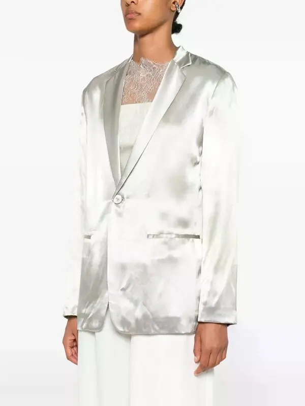 Alberta Ferretti Single-breasted Jacket - Grey